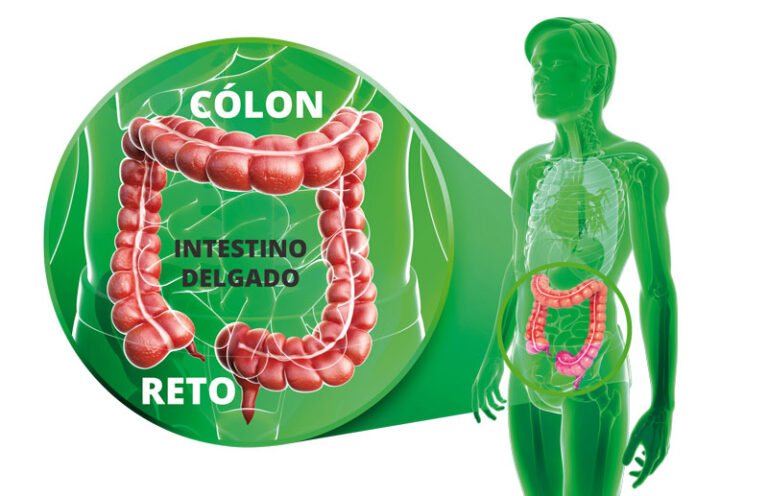Campanha Setembro Verde - Mês de prevenção e combate ao câncer de ...
